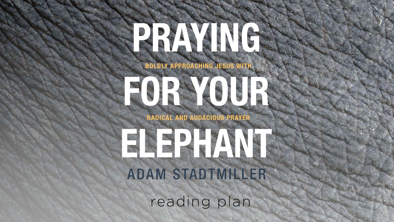 Praying for Your Elephant - Praying Bold Prayers