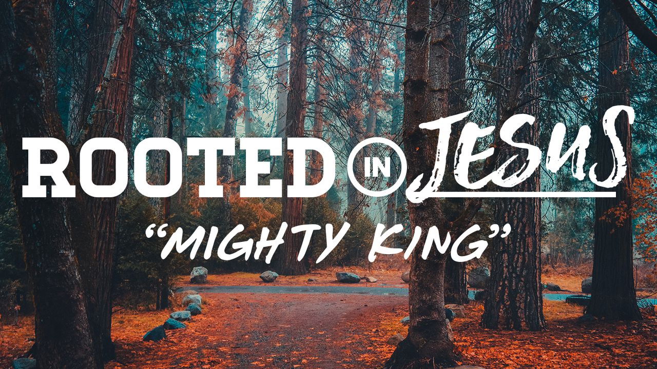 Rooted In Jesus: Mighty King