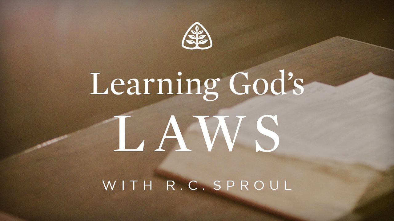Learning God's Laws - Day 2 of 13