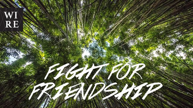 Your Mission // Fight For Connection | Devotional Reading Plan ...