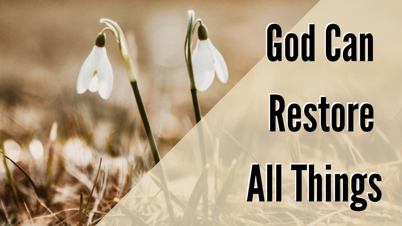 God Can Restore All Things (Even Your Marriage) - Day 3 of 5