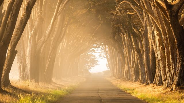 The Pathway To God | Devotional Reading Plan | YouVersion Bible
