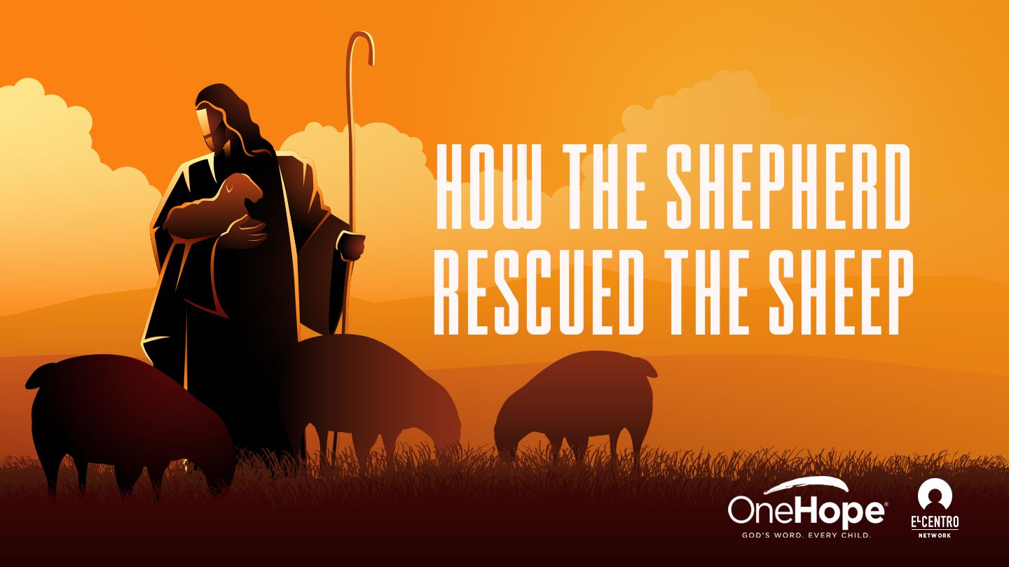 What Does A Shepherd Do For His Sheep