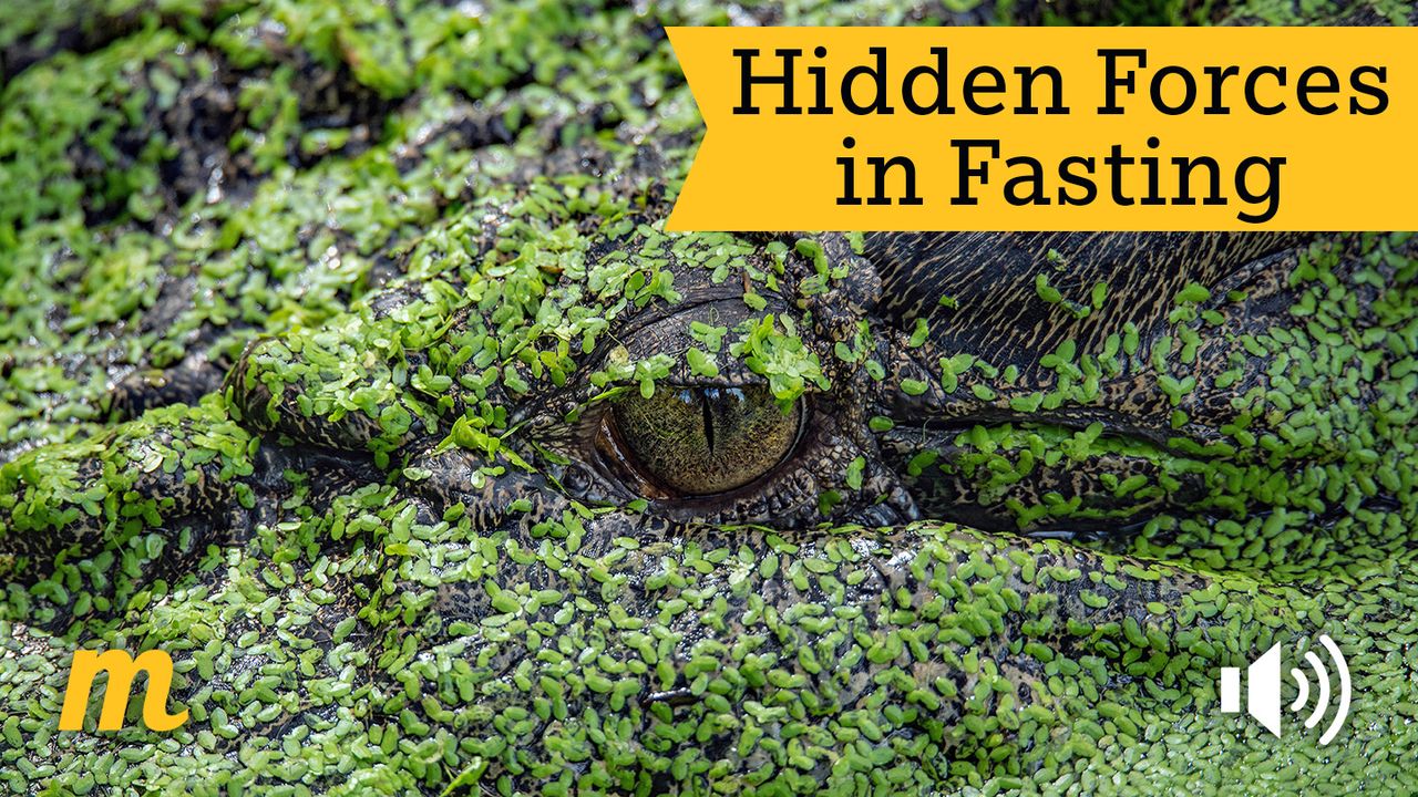 Hidden Forces in Fasting | Finding Strength and Breakthrough Through ...