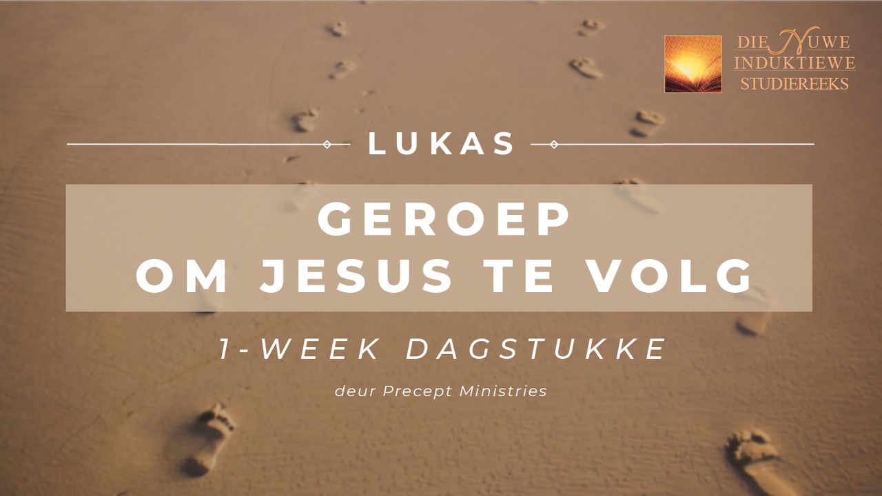 Vroue Van God, 49% OFF | brunofuga.adv.br