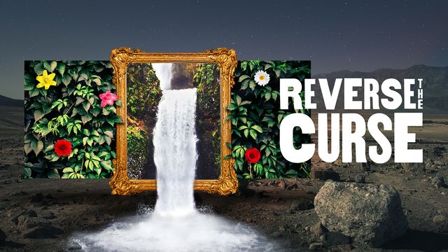 Reverse the Curse: How Jesus Moves Us From Death to Life | Devotional ...