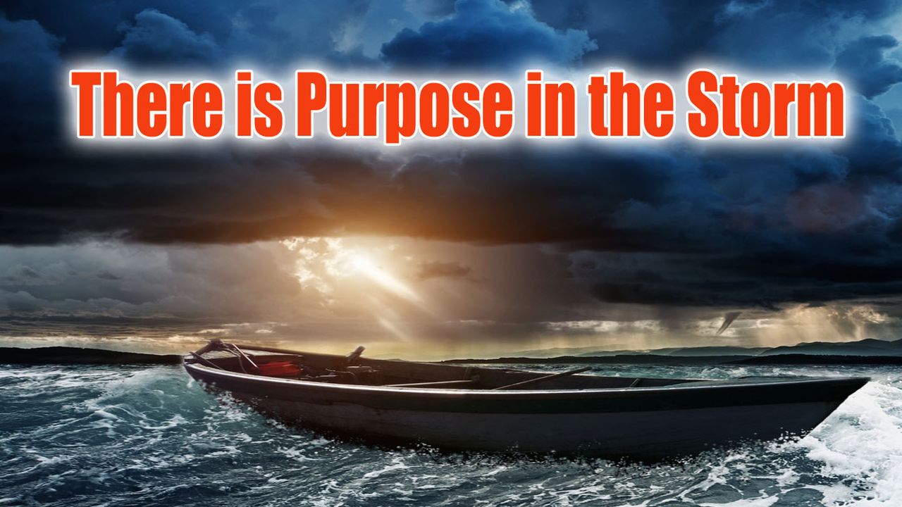 There Is Purpose in the Storm - Day 1 of 5