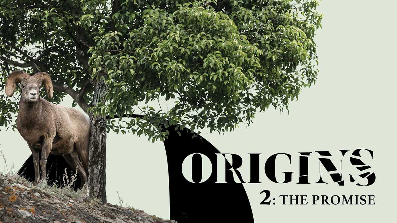 Origins: The Promise (Genesis 12–25) - Day 51 of 88