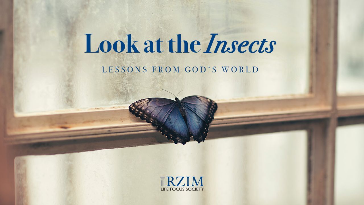 Look at the Insects: Lessons From God’s World - Day 1 of 6