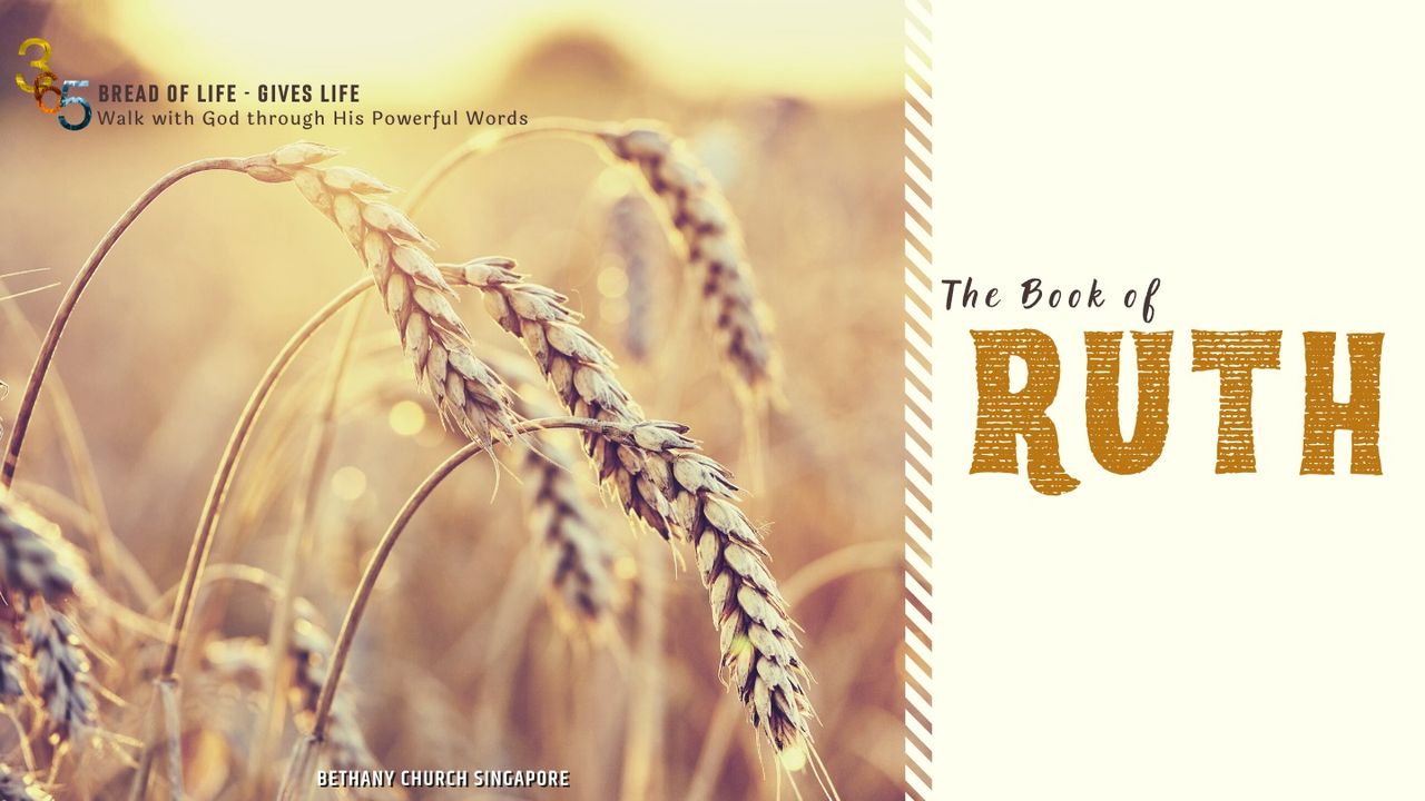 Book of Ruth - Day 2 of 3