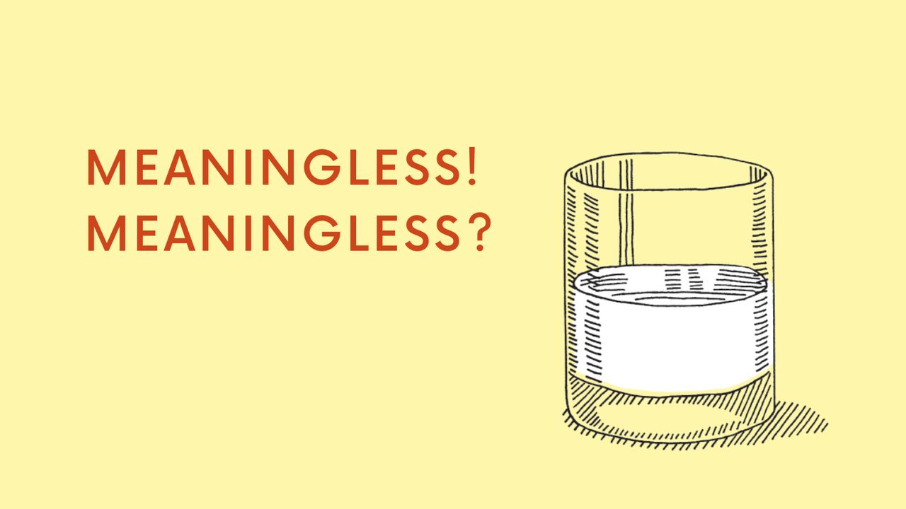 MEANINGLESS! MEANINGLESS?