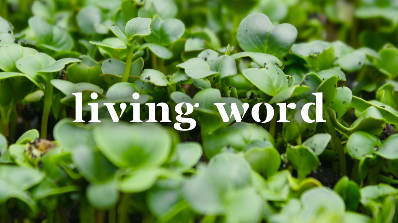 Living Word
