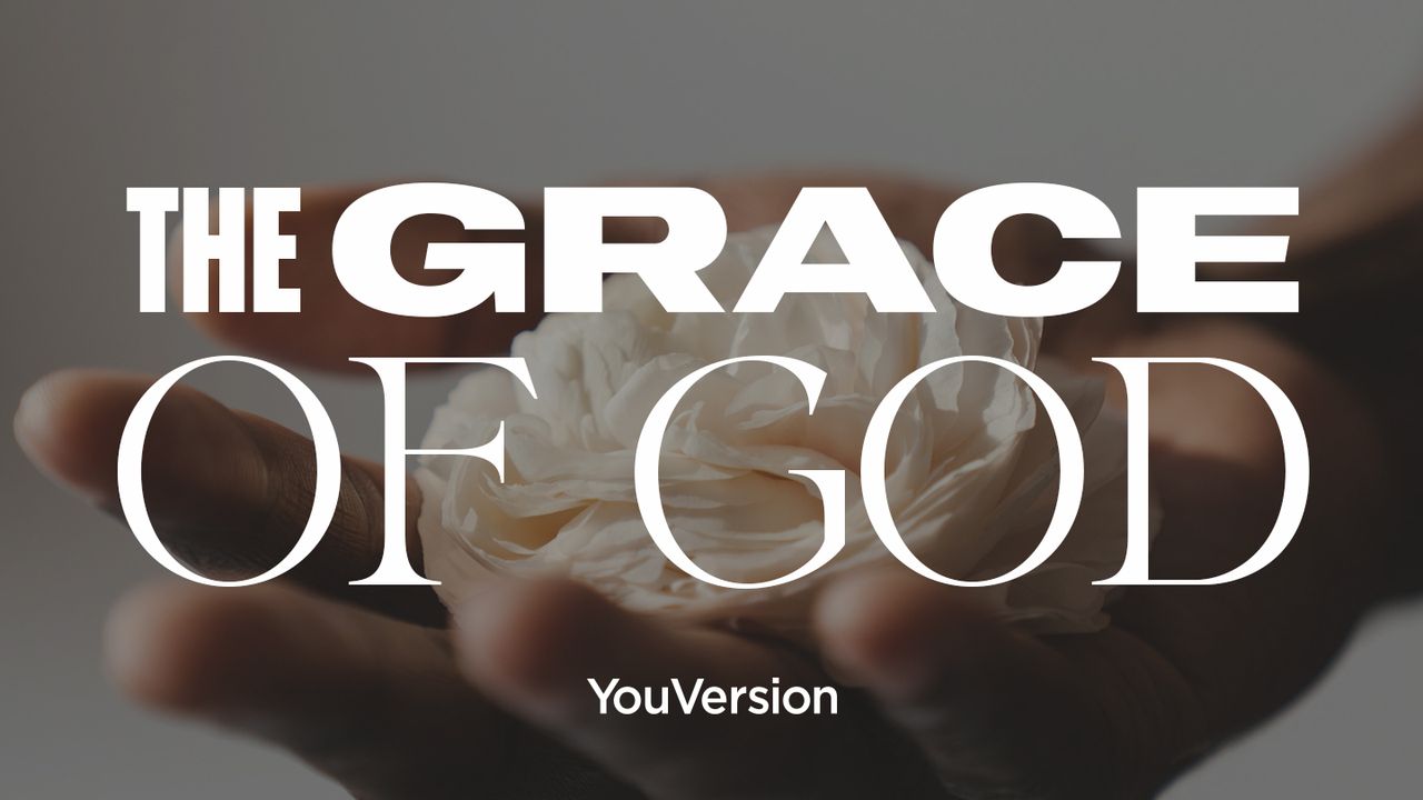 Die Gnade Gottes | Die Bibel App | Bible.com