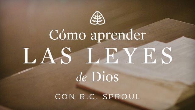 Cómo aprender las leyes de Dios | Planes devocionales | Biblia YouVersion