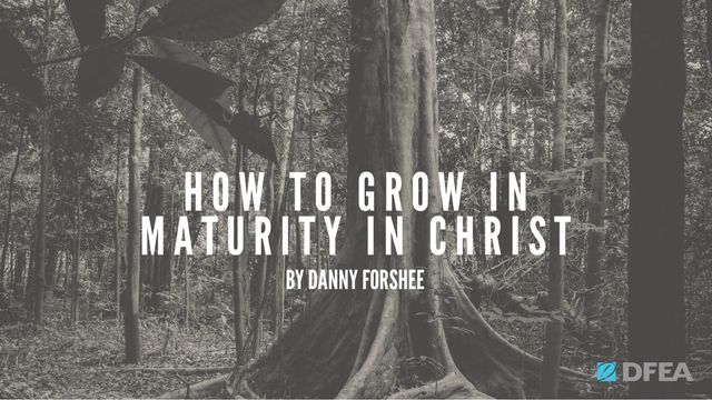 Growing in Maturity in Christ | Devotional Reading Plan | YouVersion Bible