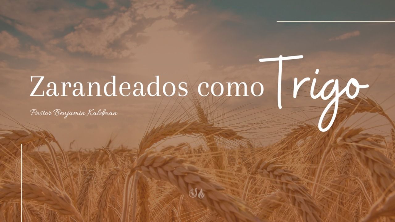 Zarandeados Como Trigo