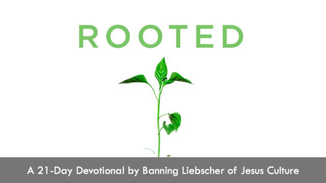 Rooted | Devotional Reading Plan | YouVersion Bible