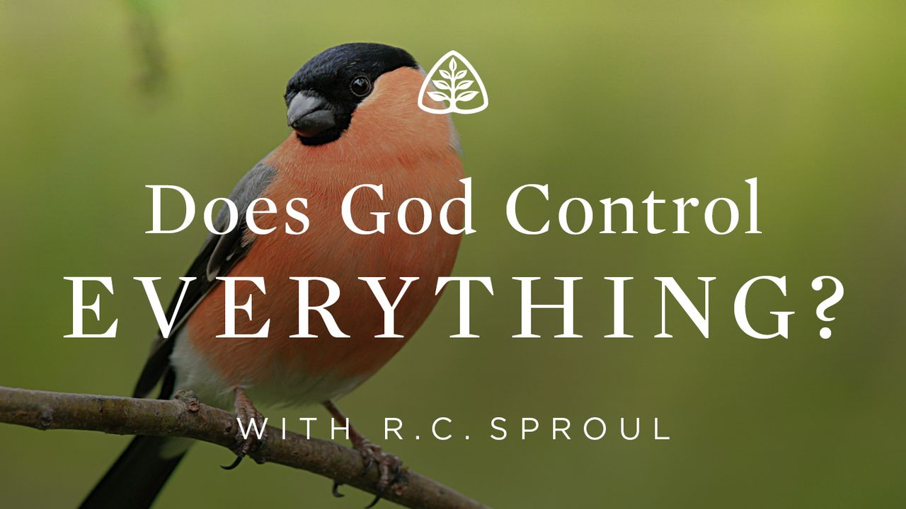 Does God Control Everything? - Day 1 of 6