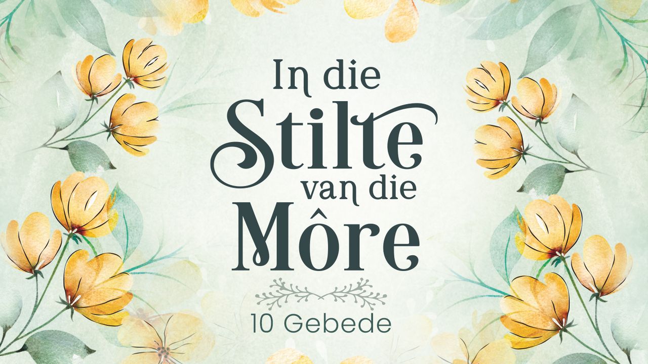 In Die Stilte Van Die Môre