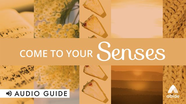 Come to Your Senses | Devotional Reading Plan | YouVersion Bible