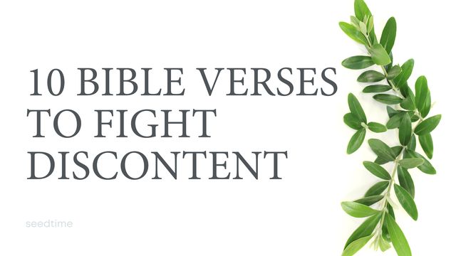 Contentment: 10 Bible Verses to Fight Discontent | Devotional Reading ...