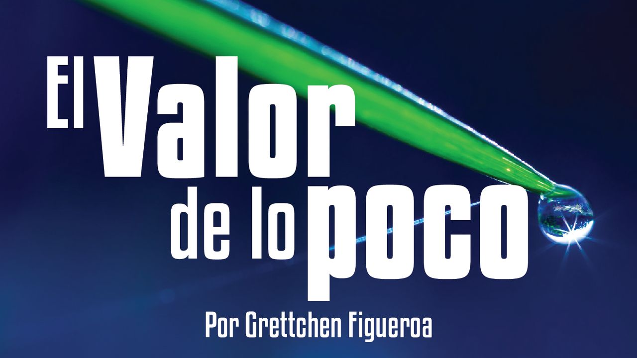 El Valor De Lo Poco