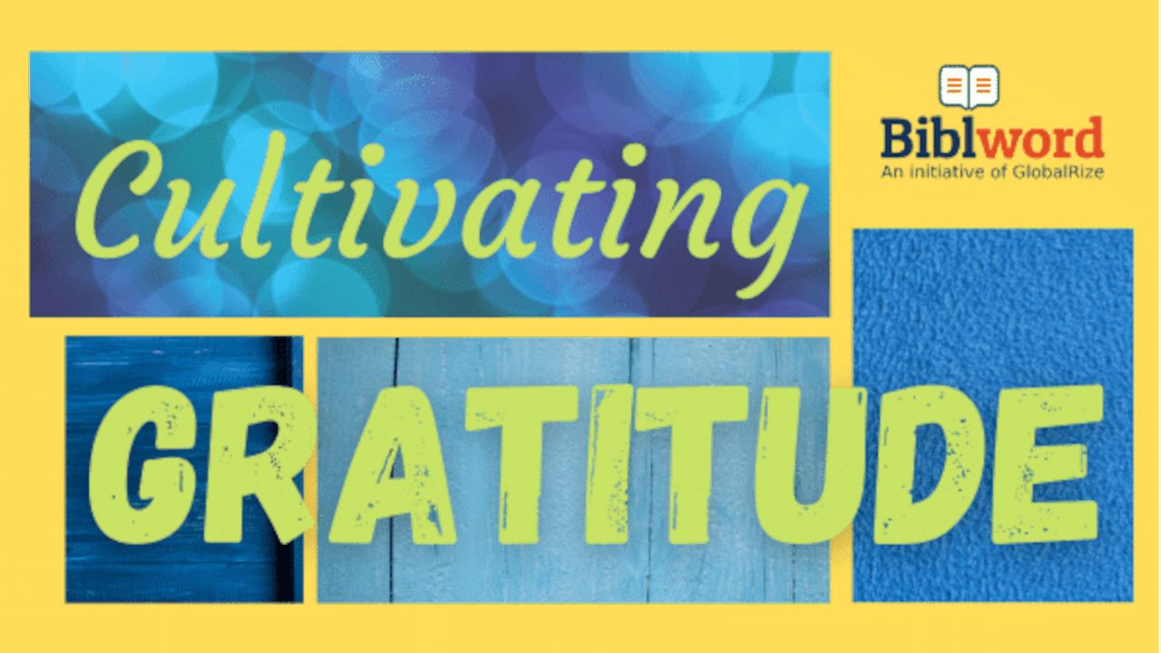Cultivating Gratitude - Day 1 of 8