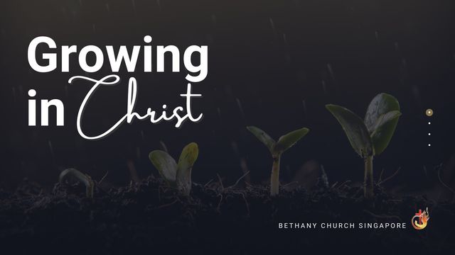 Growing in Christ | Devotional Reading Plan | YouVersion Bible