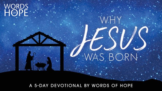 Why Jesus Was Born | Devotional Reading Plan | YouVersion Bible