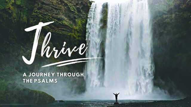 Thrive: A Journey Through the Psalms | Devotional Reading Plan ...