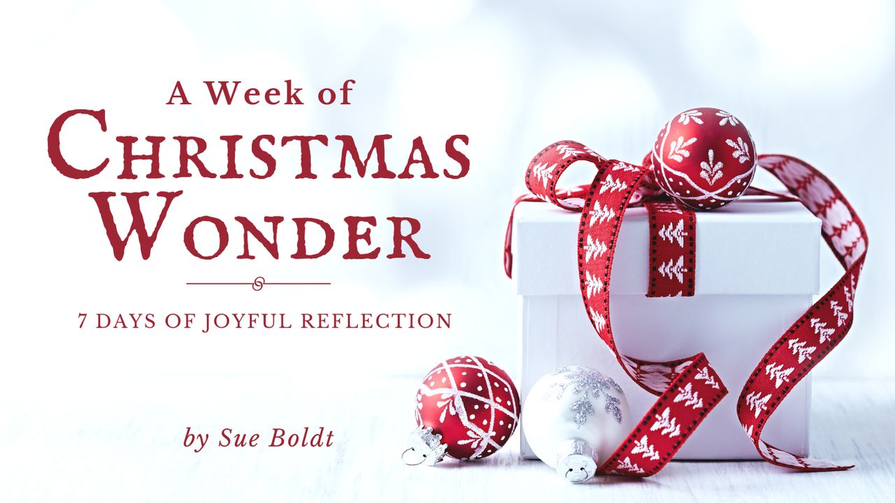 A Week of Christmas Wonder - Day 5 of 7