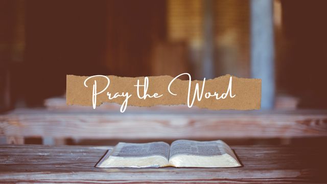 Pray the Word | Devotional Reading Plan | YouVersion Bible