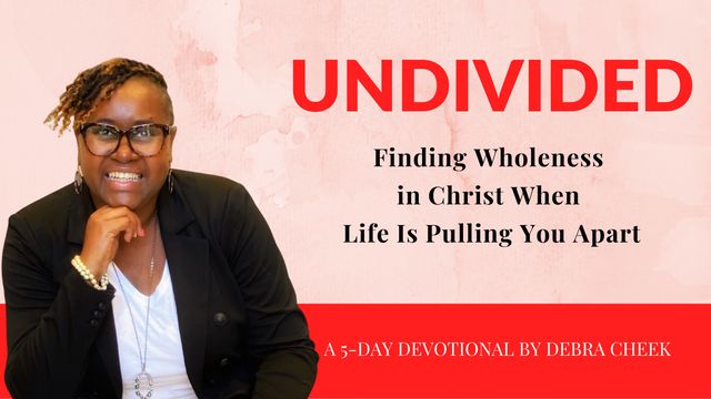 Undivided: Finding Wholeness in Christ When Life Is Pulling You Apart ...