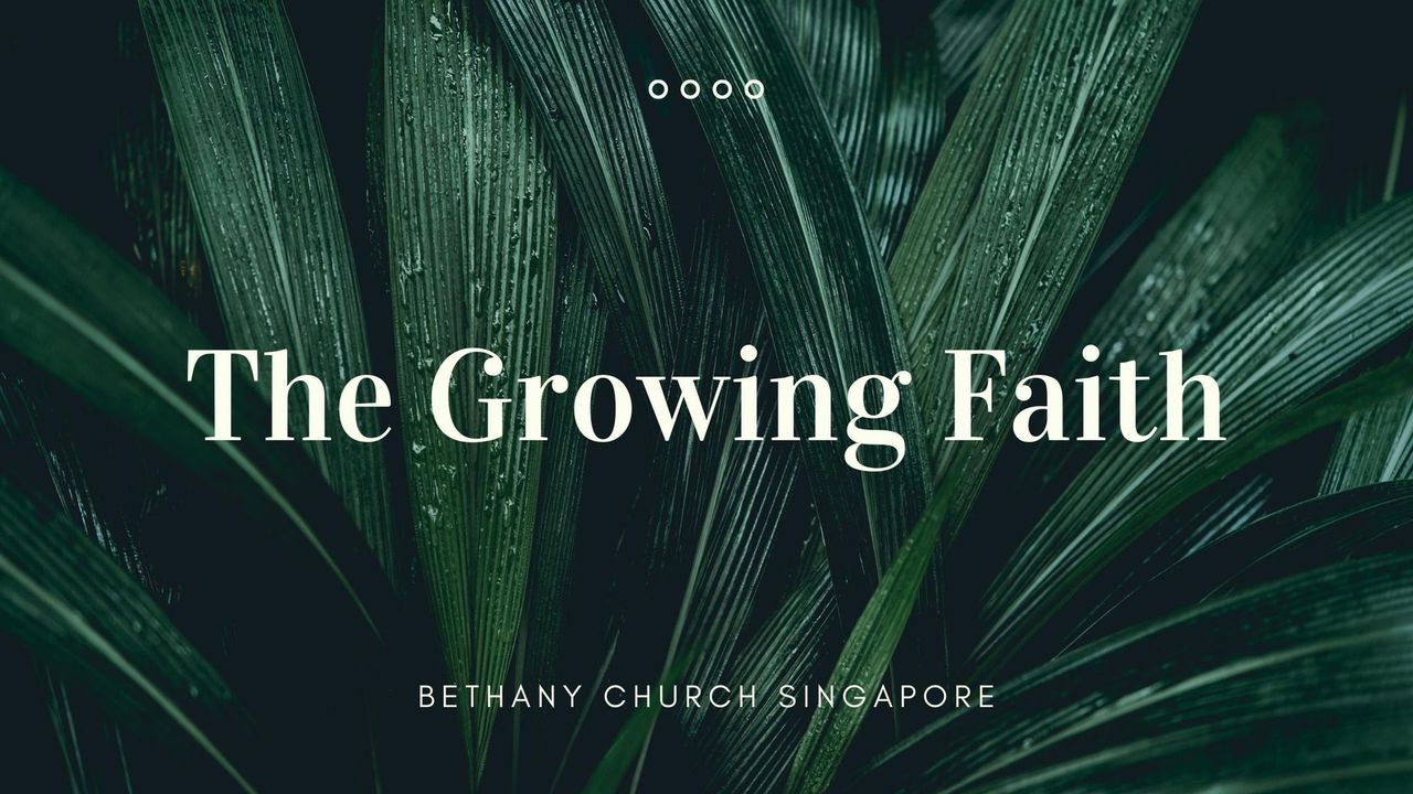 The Growing Faith The Growing Faith