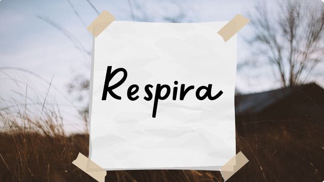 Respira | Planes devocionales | Biblia YouVersion