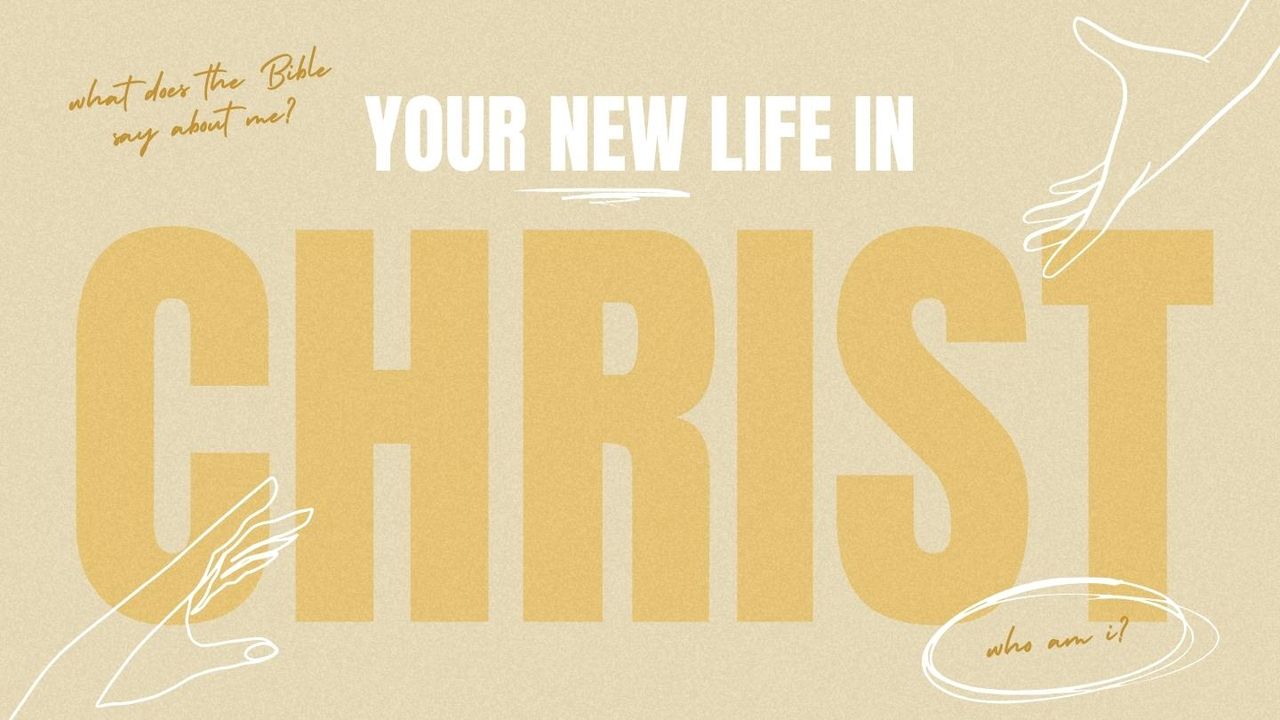 Your New Life in Christ