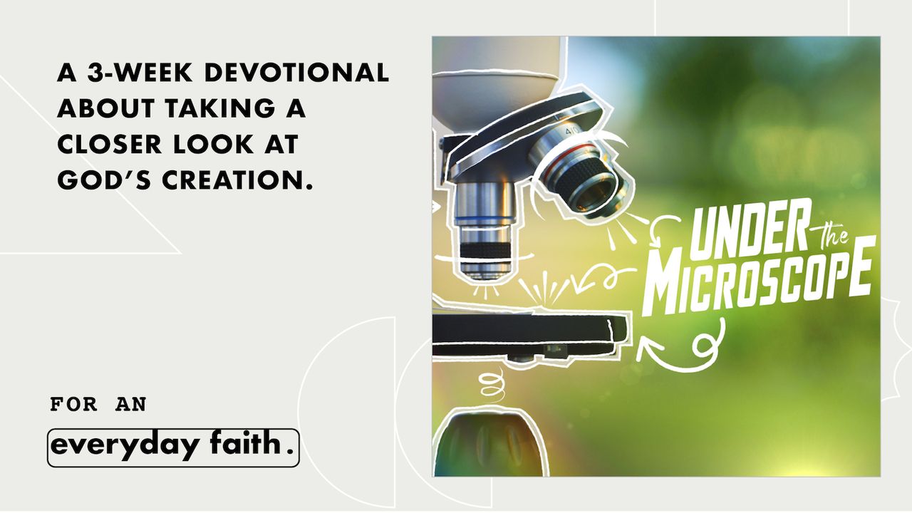 Under the Microscope: Taking a Closer Look at God's Creation.