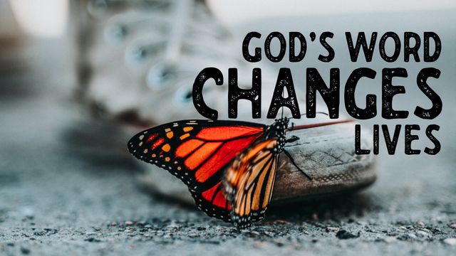 God's Word Changes Lives | Devotional Reading Plan | YouVersion Bible
