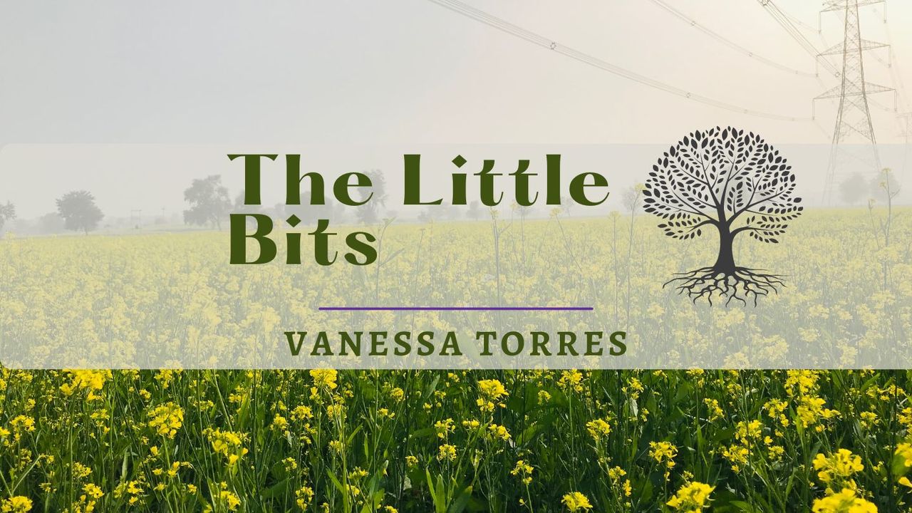The Little Bits