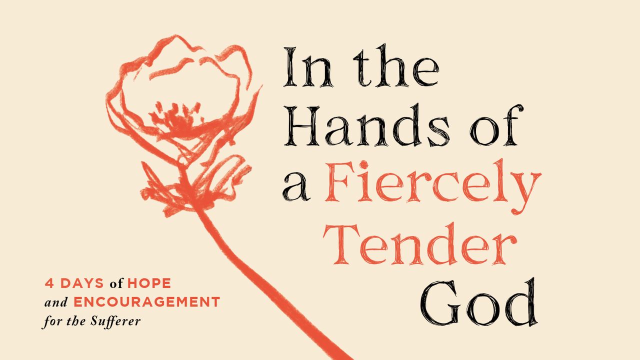 In the Hands of a Fiercely Tender God - 4 Days of Hope and ...