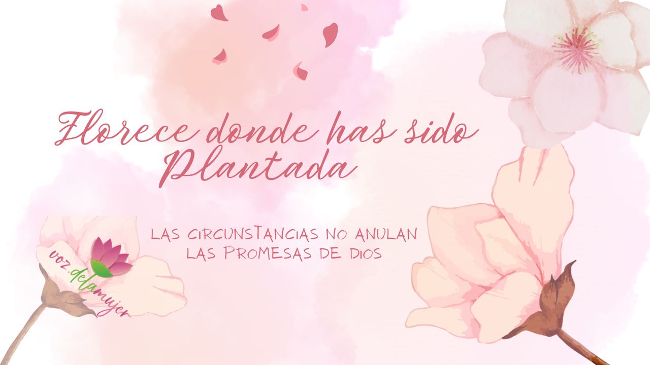 Florece Donde Has Sido Plantada