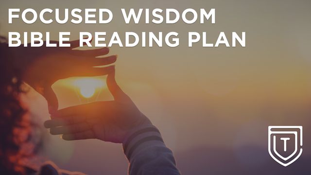 Focused Wisdom Bible Reading Plan | Devotional Reading Plan ...