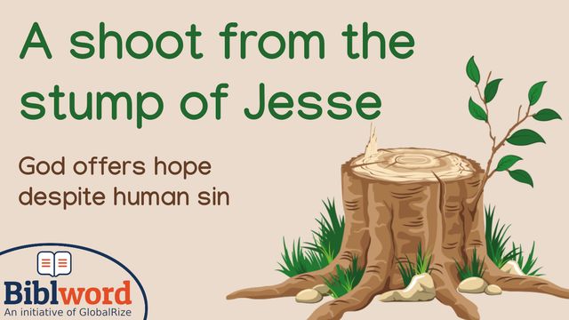 A Shoot From the Stump of Jesse | Devotional Reading Plan | YouVersion ...