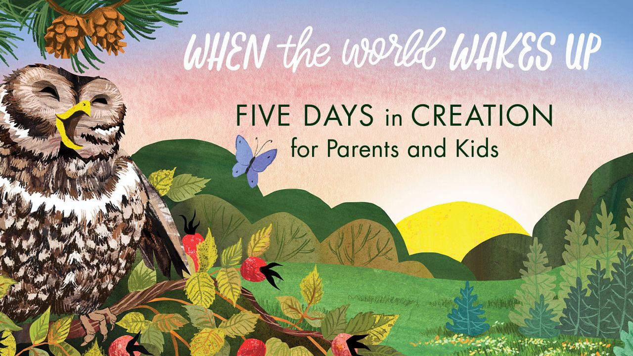 Five Days in Creation for Parents and Kids