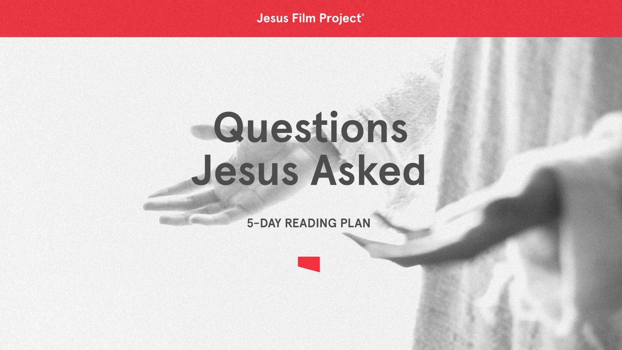 List Of Questions Jesus Asked In The Bible at Modesto Kellogg blog