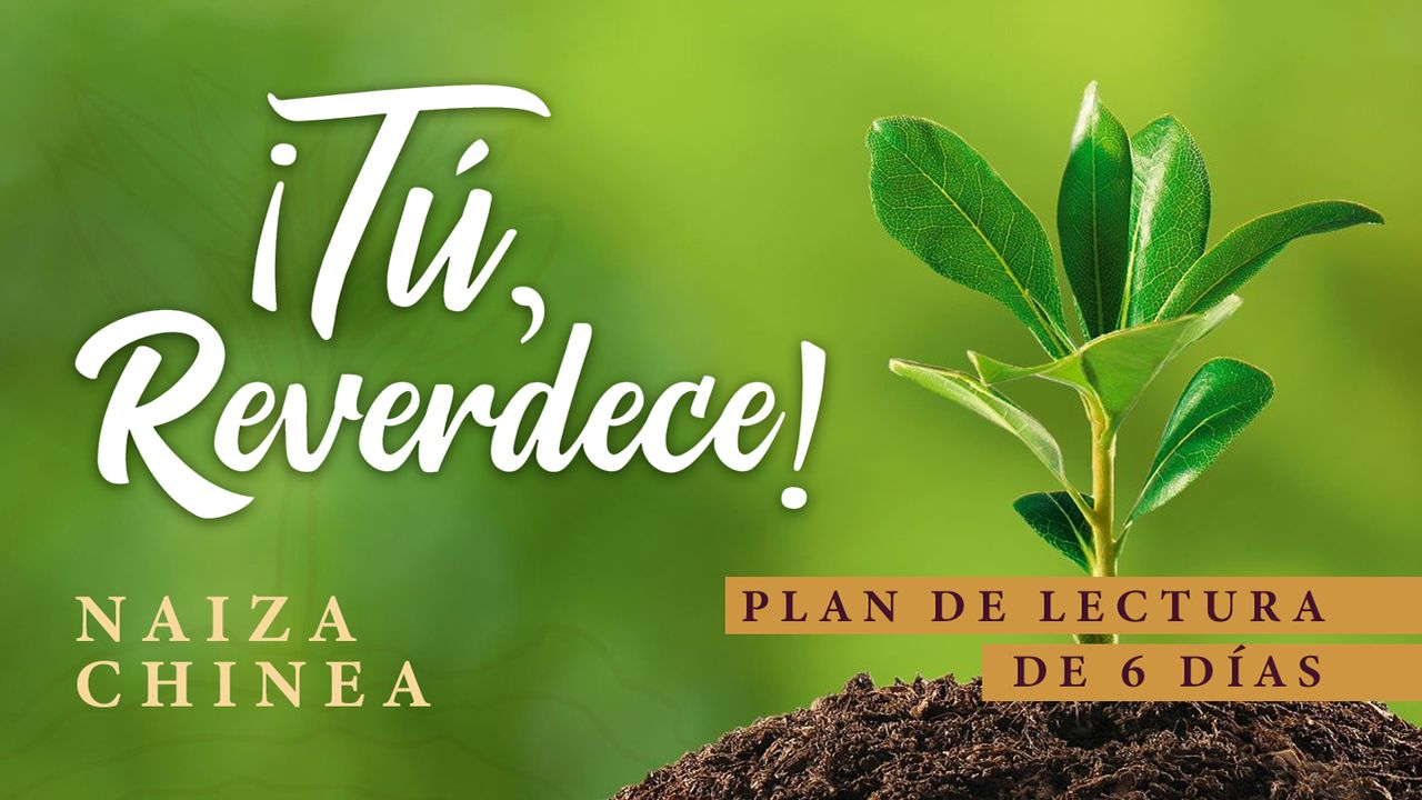 ¡Tú, Reverdece! - Día 1 de 6