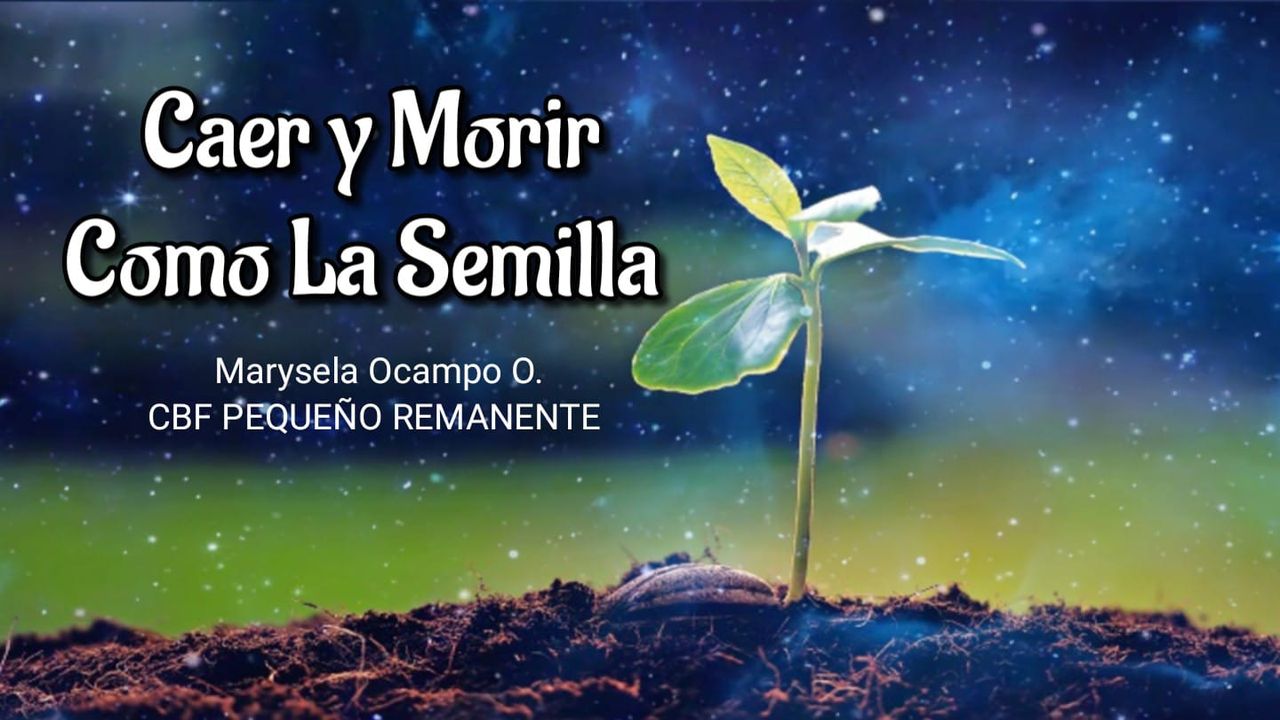 Caer Y Morir Como La Semilla