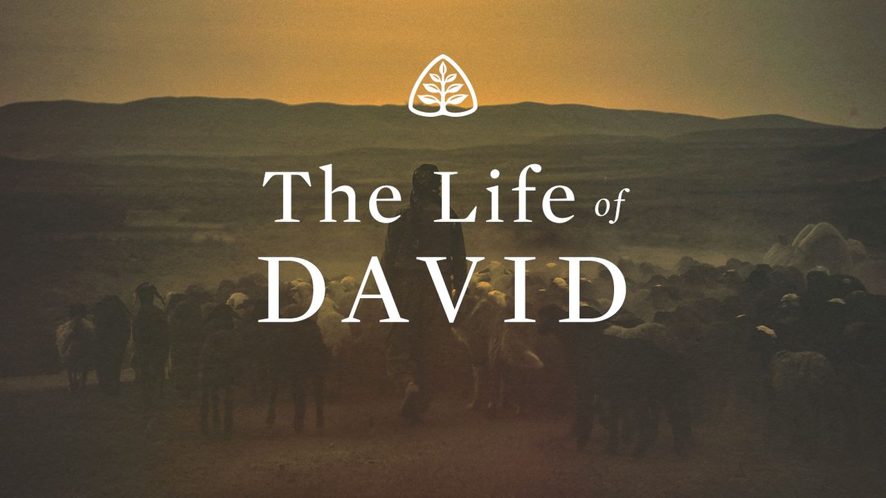 The Life of David