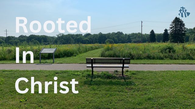 Colossians: Rooted and Built Up in Christ | Devotional Reading Plan ...