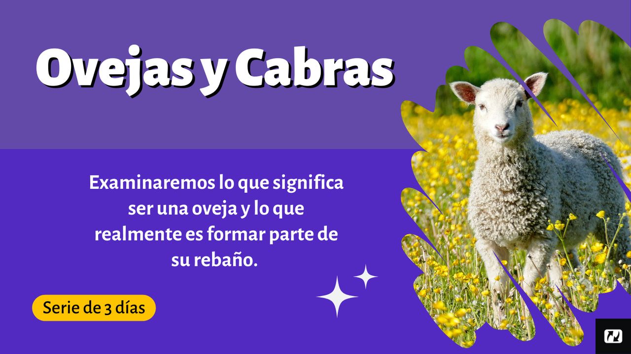 Ovejas y cabras